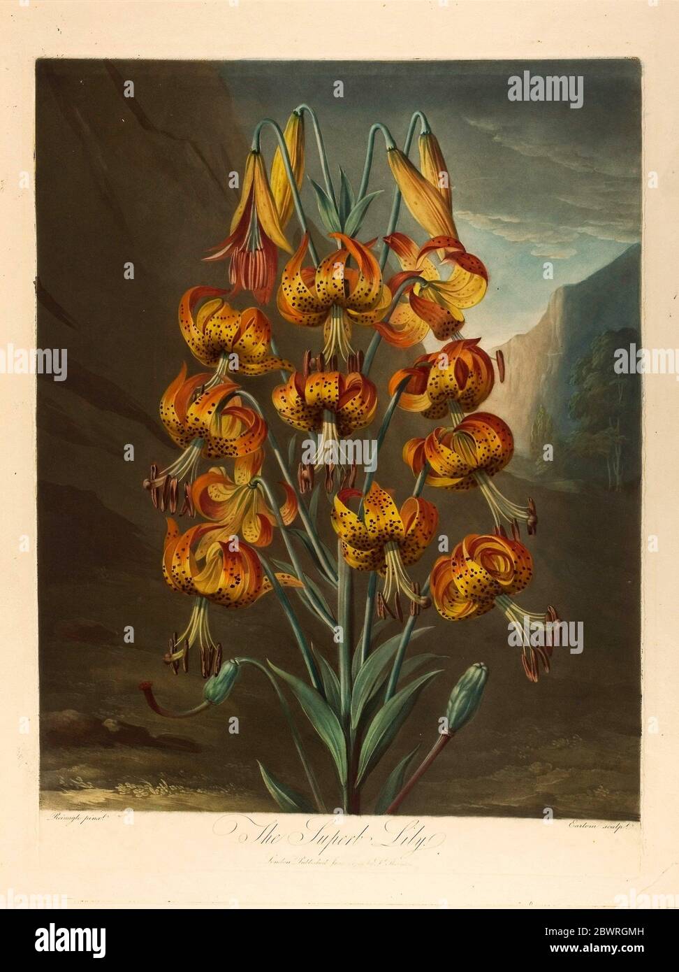 Reinagle High Resolution Stock Photography and Images - Alamy