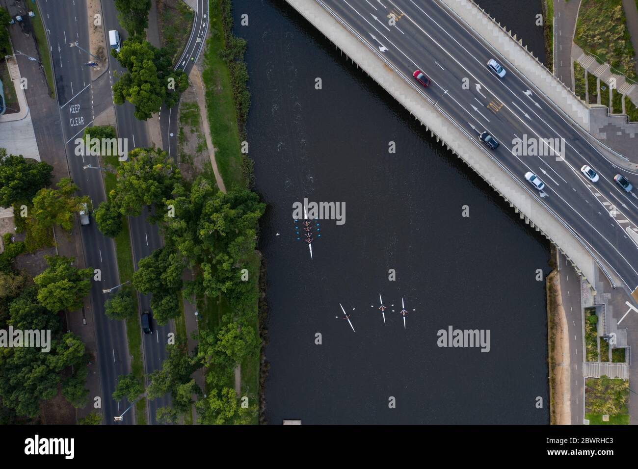 Overhead aerial view of unidentifiable rowers on the Yarra River and ...