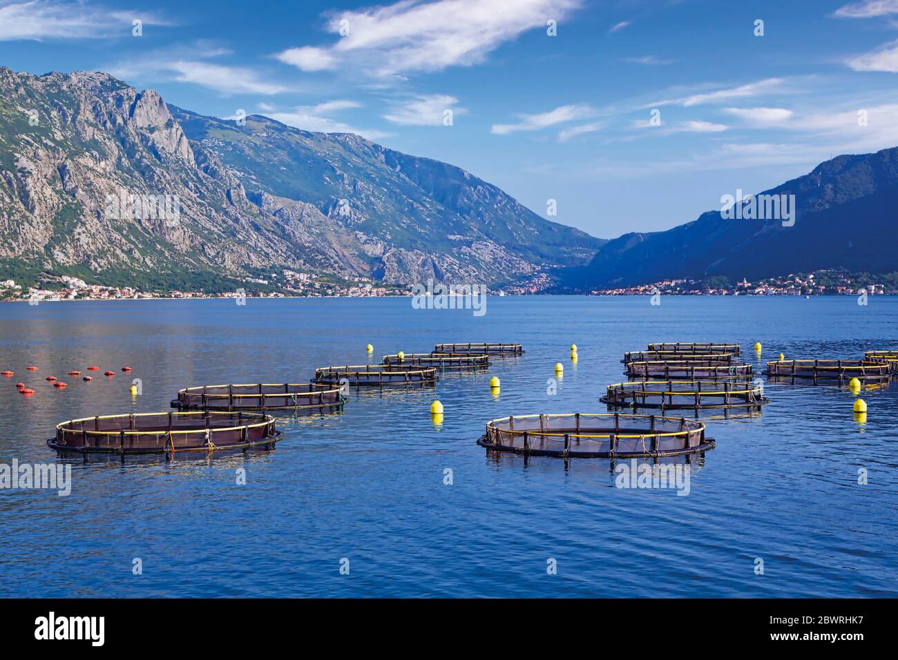 Aquafarming hi-res stock photography and images - Alamy