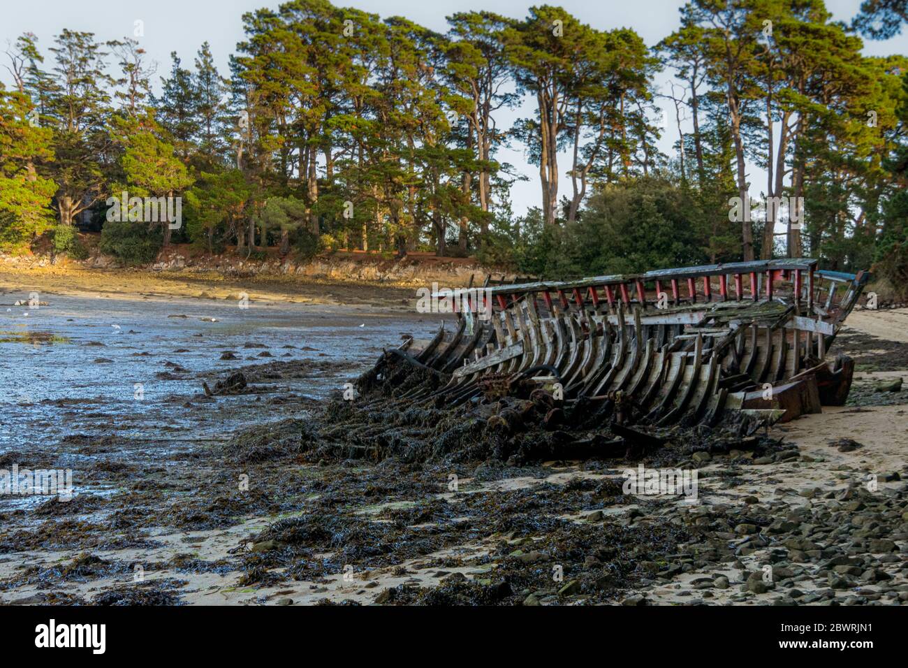 Boat graveyard on Bender Island in the Gulf of Morbihan. France Stock ...