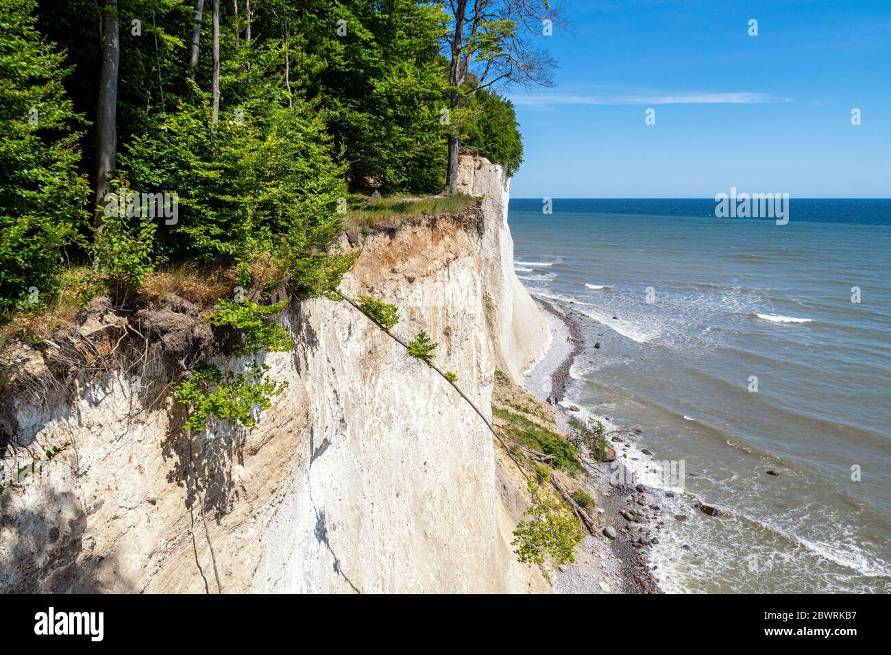 Chalk cliff coast jasmund hi-res stock photography and images - Alamy