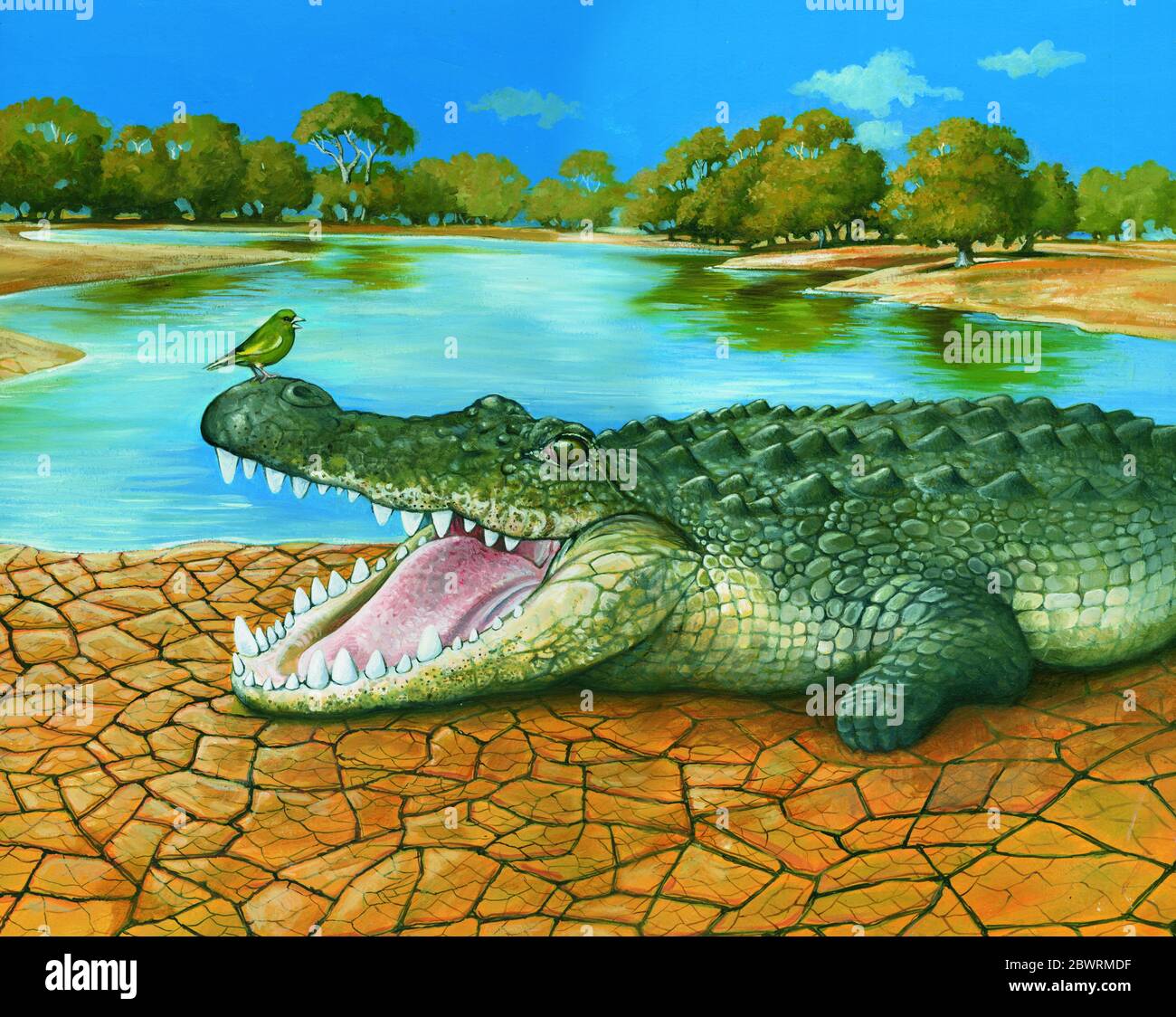 Bird sitting crocodile hi-res stock photography and images - Alamy