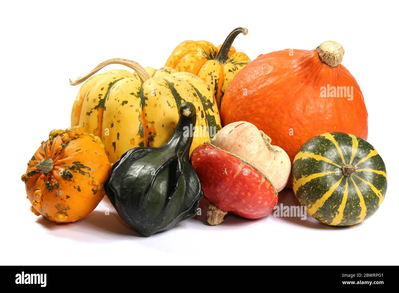 Cucurbits hi-res stock photography and images - Alamy
