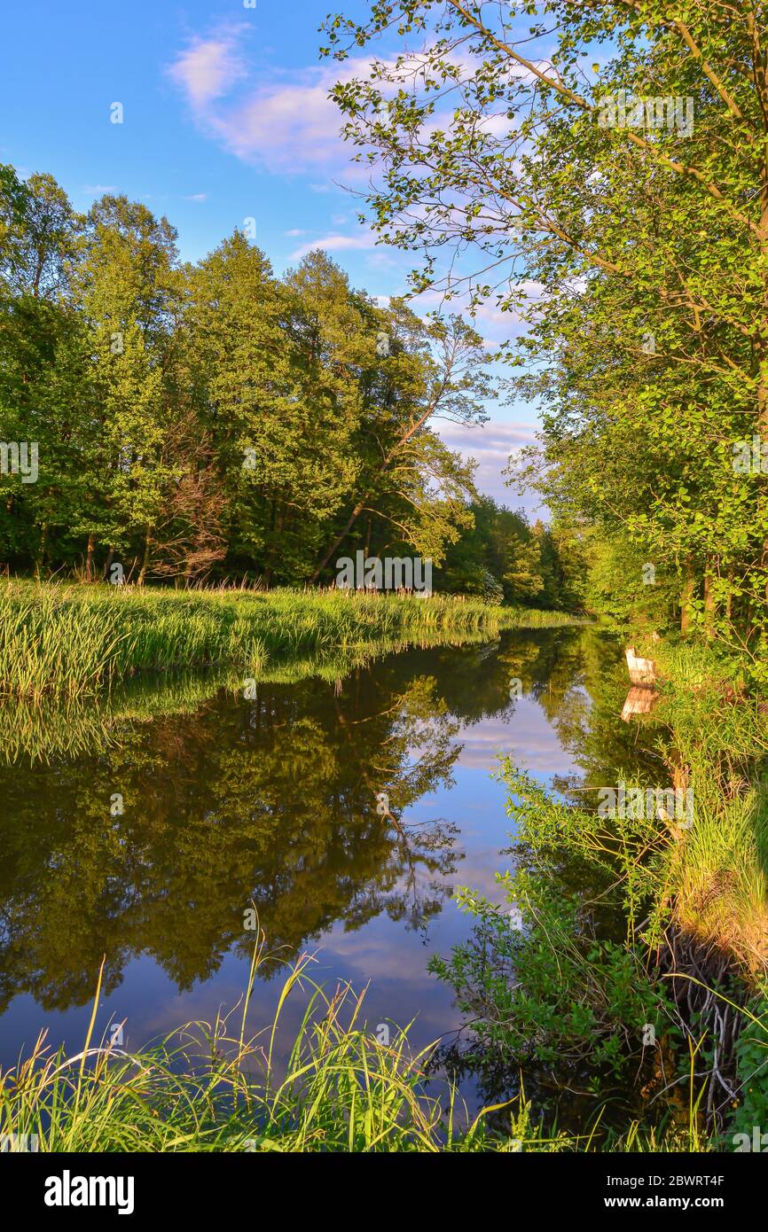 Grabia river flowing in hi-res stock photography and images - Alamy