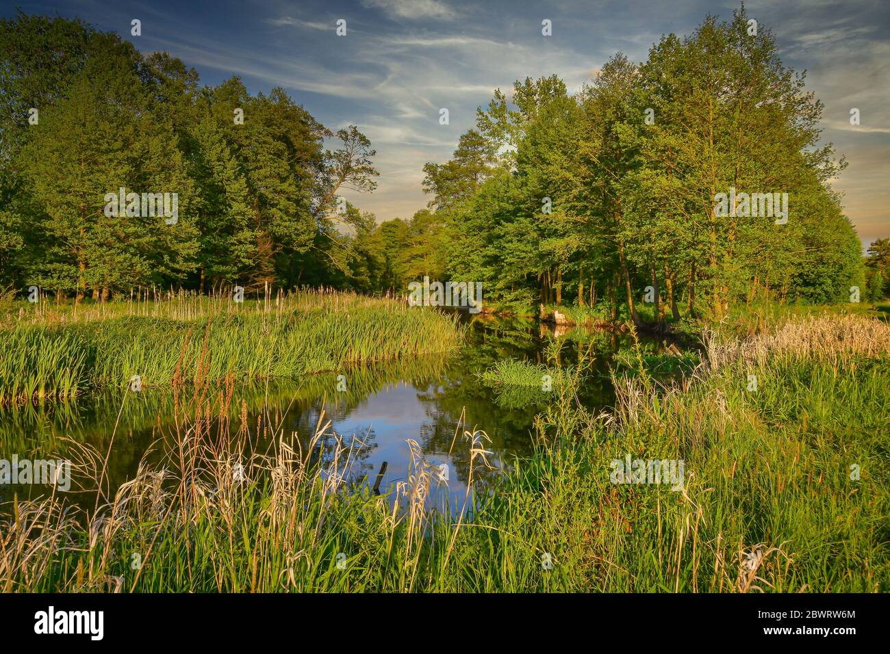 River grabia hi-res stock photography and images - Alamy