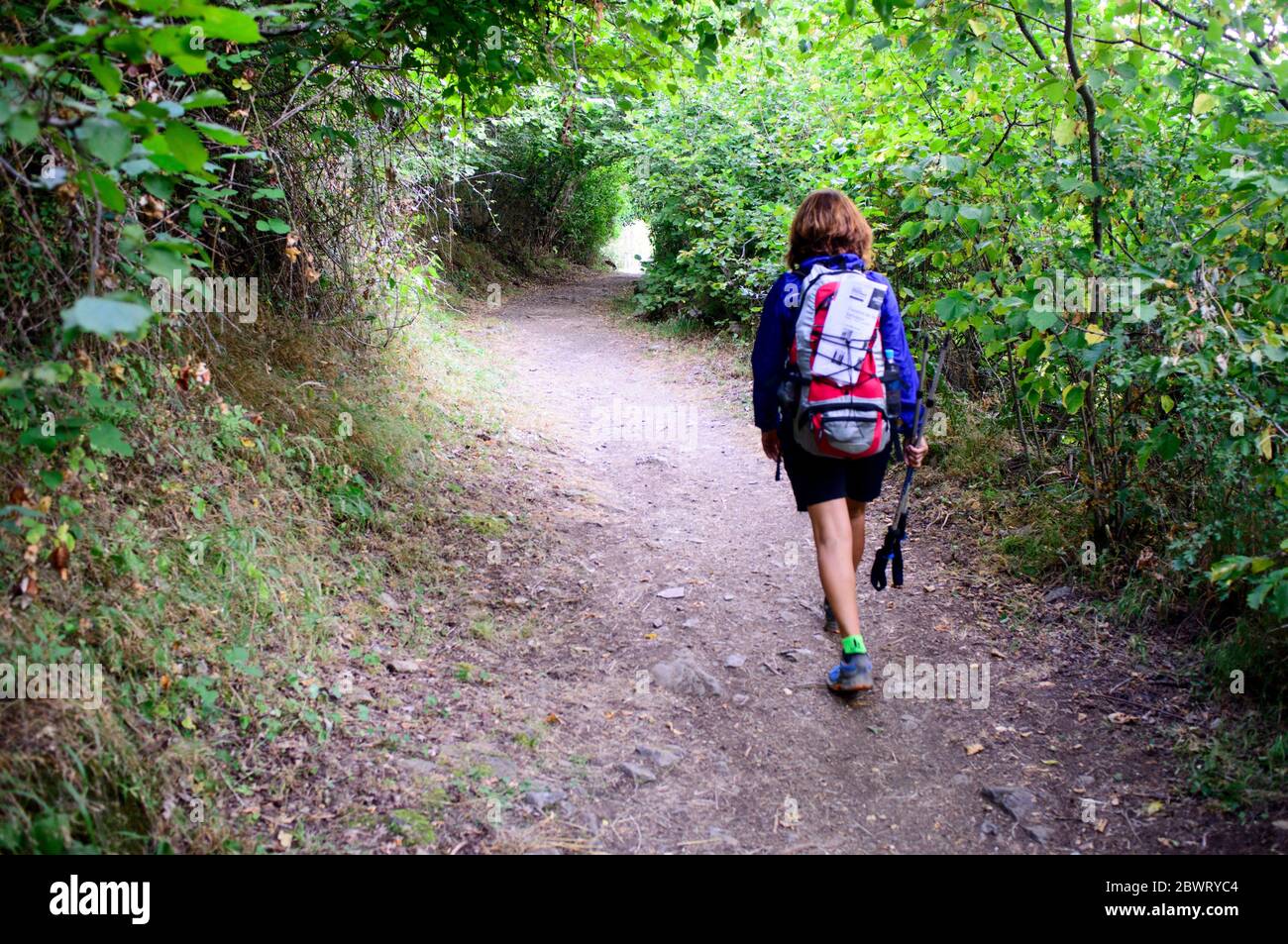 A pilgrim walking along a rural path in Nocedo de Gordon, Leon, Spain ...