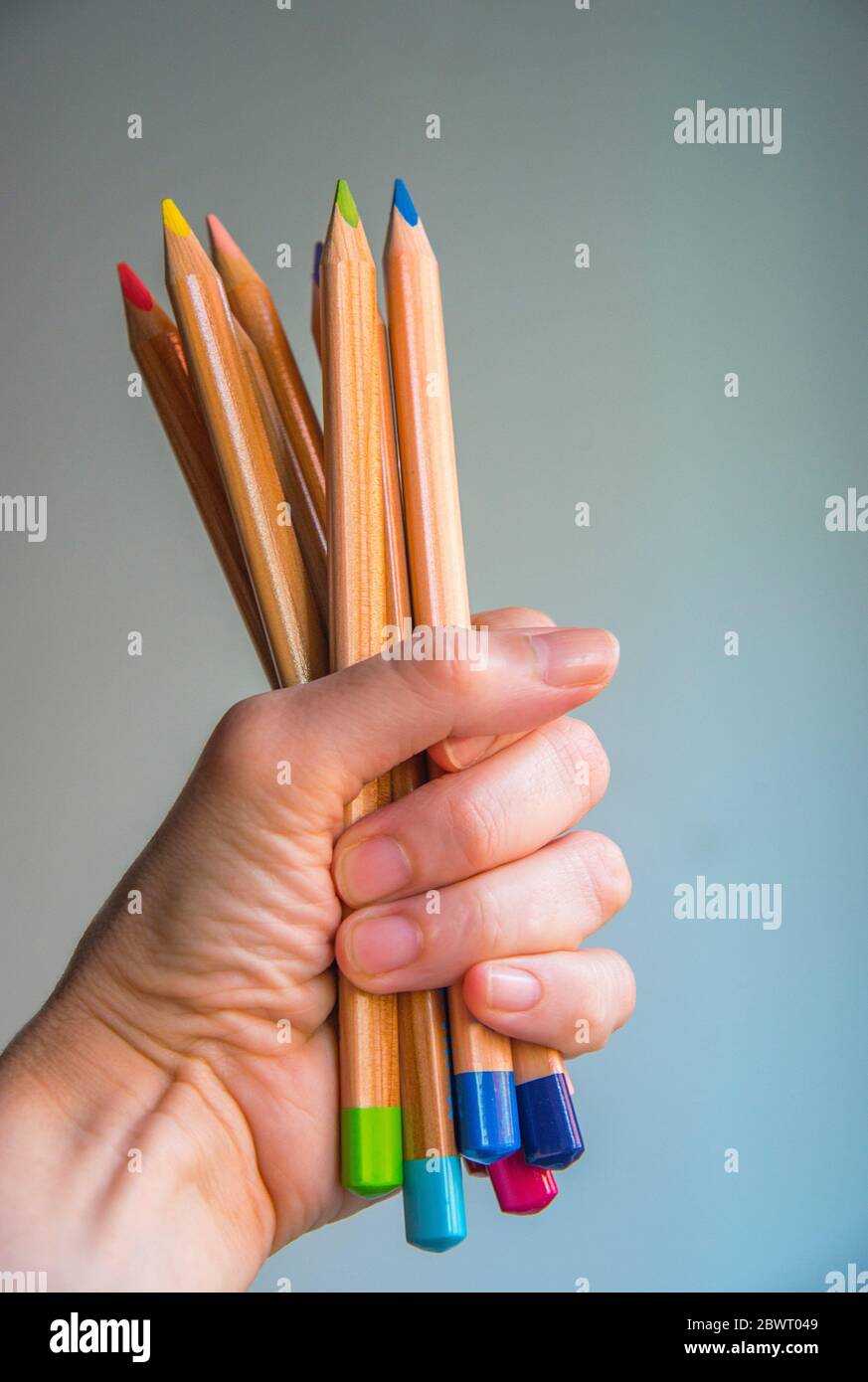 Hand holding color pencils Stock Photo - Alamy