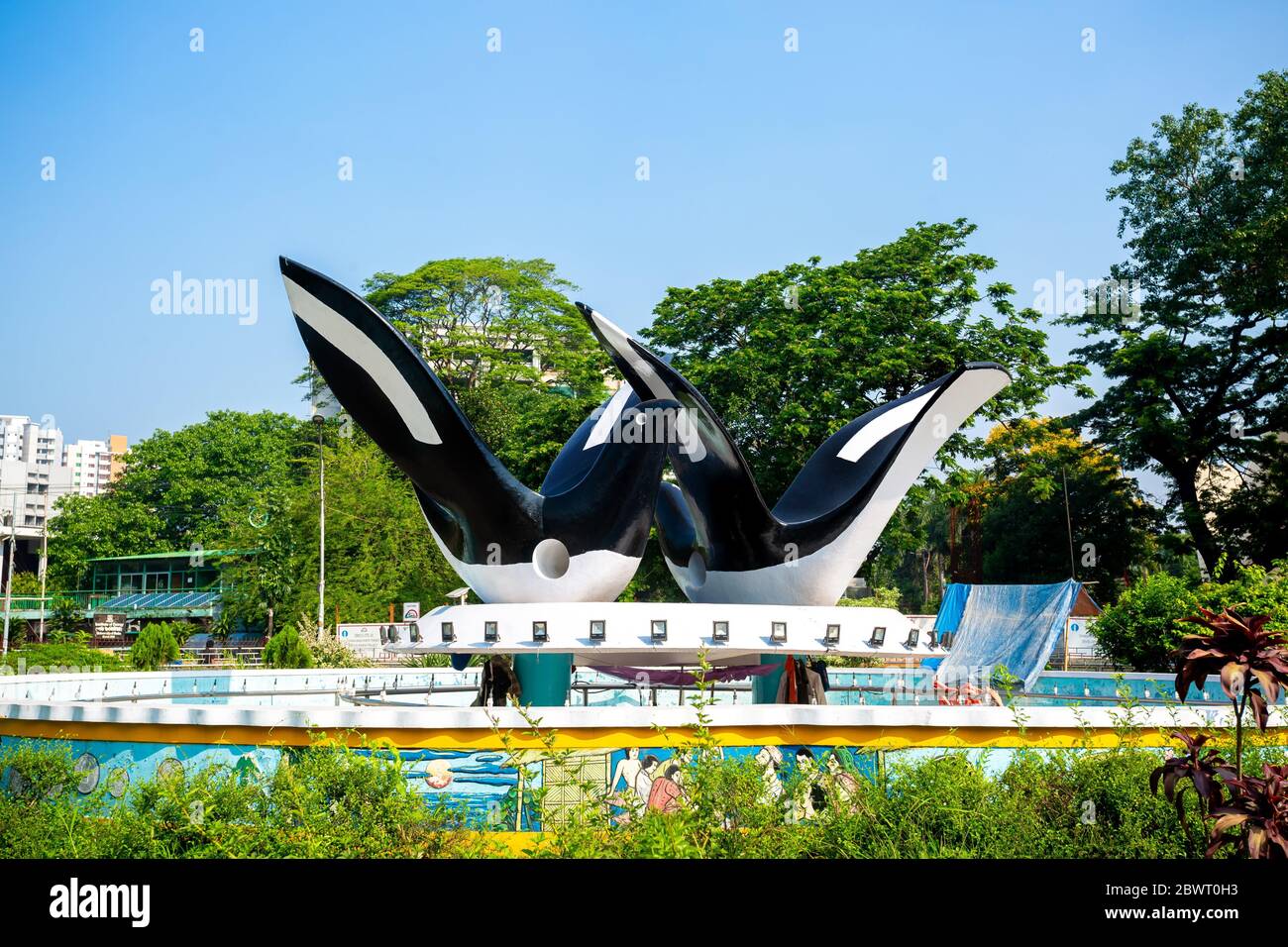 Robin Magpie Is National Bird Of Bangladesh High Resolution Stock ...