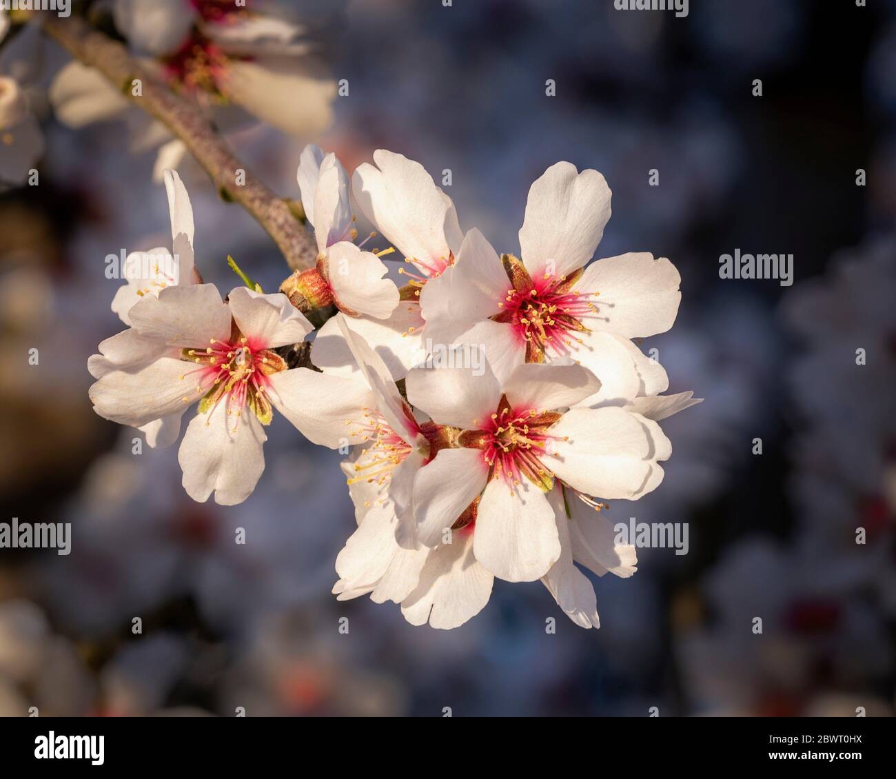 Late spring day hi-res stock photography and images - Alamy