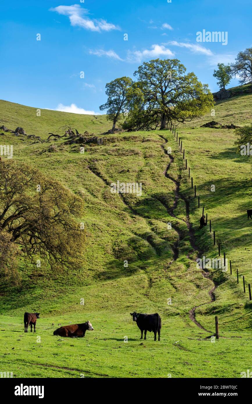 Foothill farm hi-res stock photography and images - Alamy