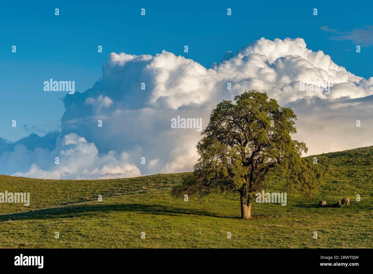 Shadow farm hi-res stock photography and images - Alamy