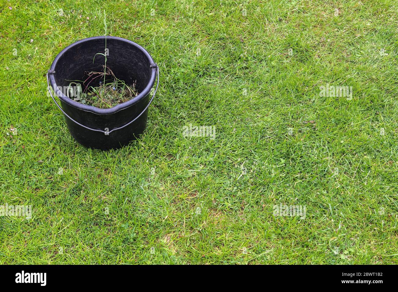Gardening equipment on grass with empty space Stock Photo - Alamy