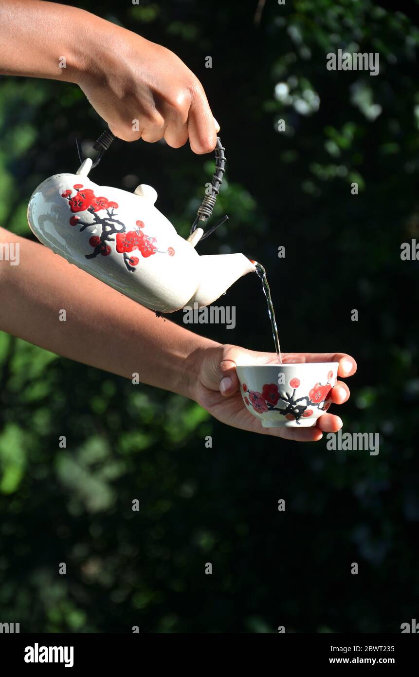 Japanese woman drinking tea hi-res stock photography and images - Alamy