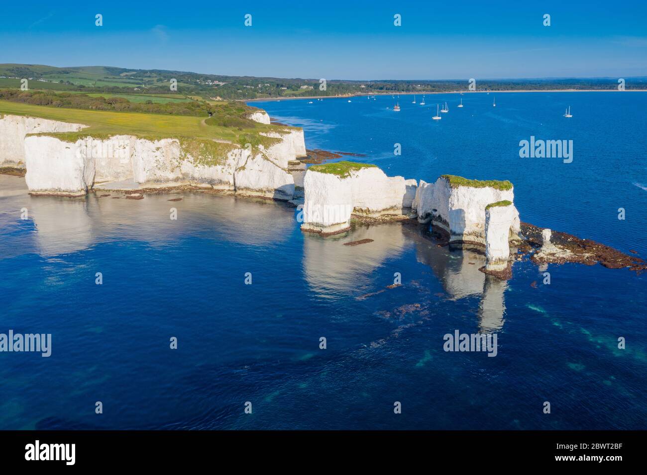 Chalk cliffs Old Harry Rocks Isle of Purbeck in Dorset, south England ...
