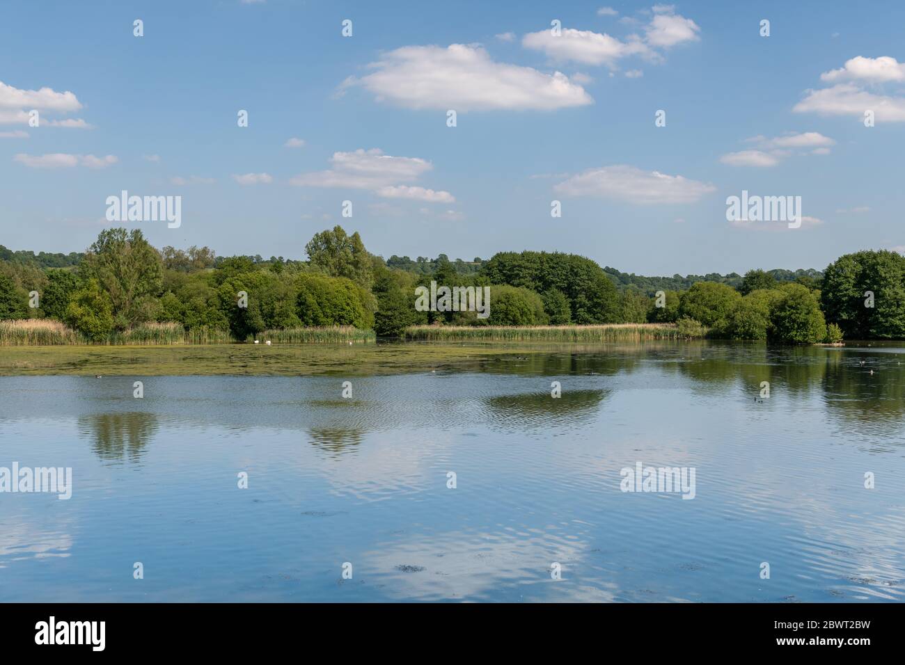 Chew Valley Lake and reservoir Somerset, England Stock Photo - Alamy