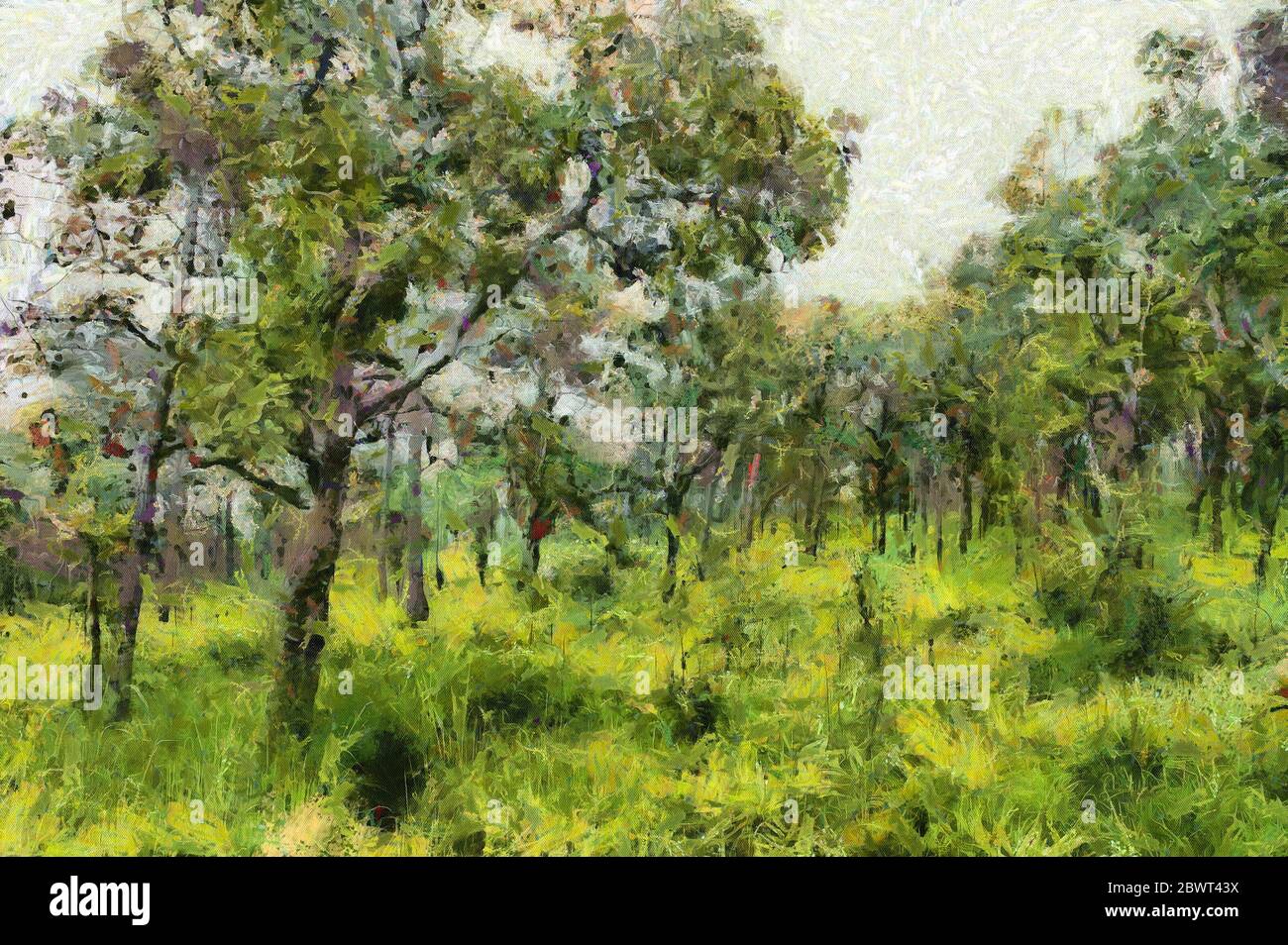Forest landscape Illustrations creates an impressionist style of ...
