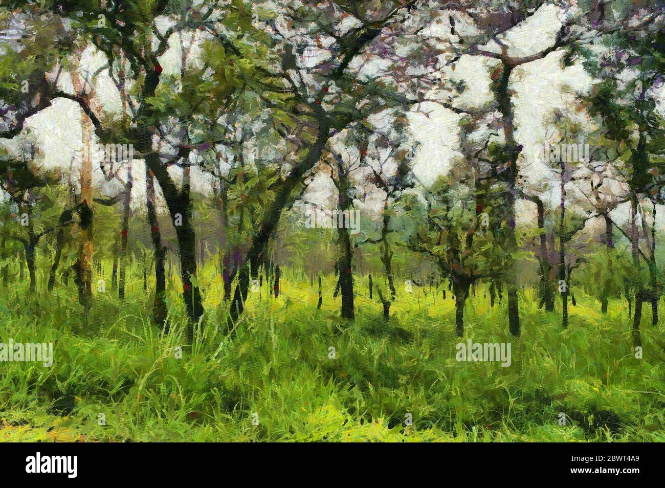 Forest landscape Illustrations creates an impressionist style of ...