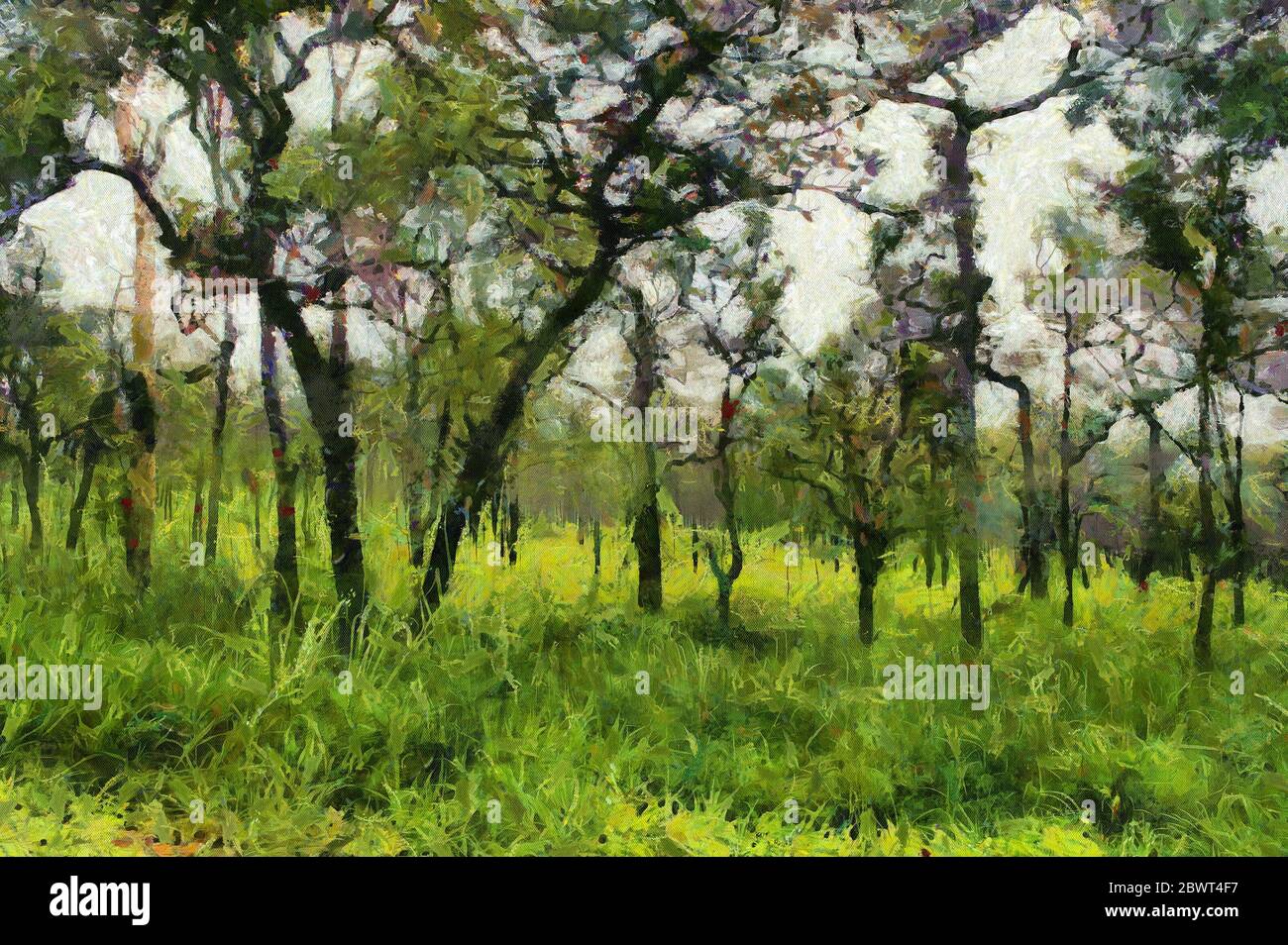 Forest landscape Illustrations creates an impressionist style of ...