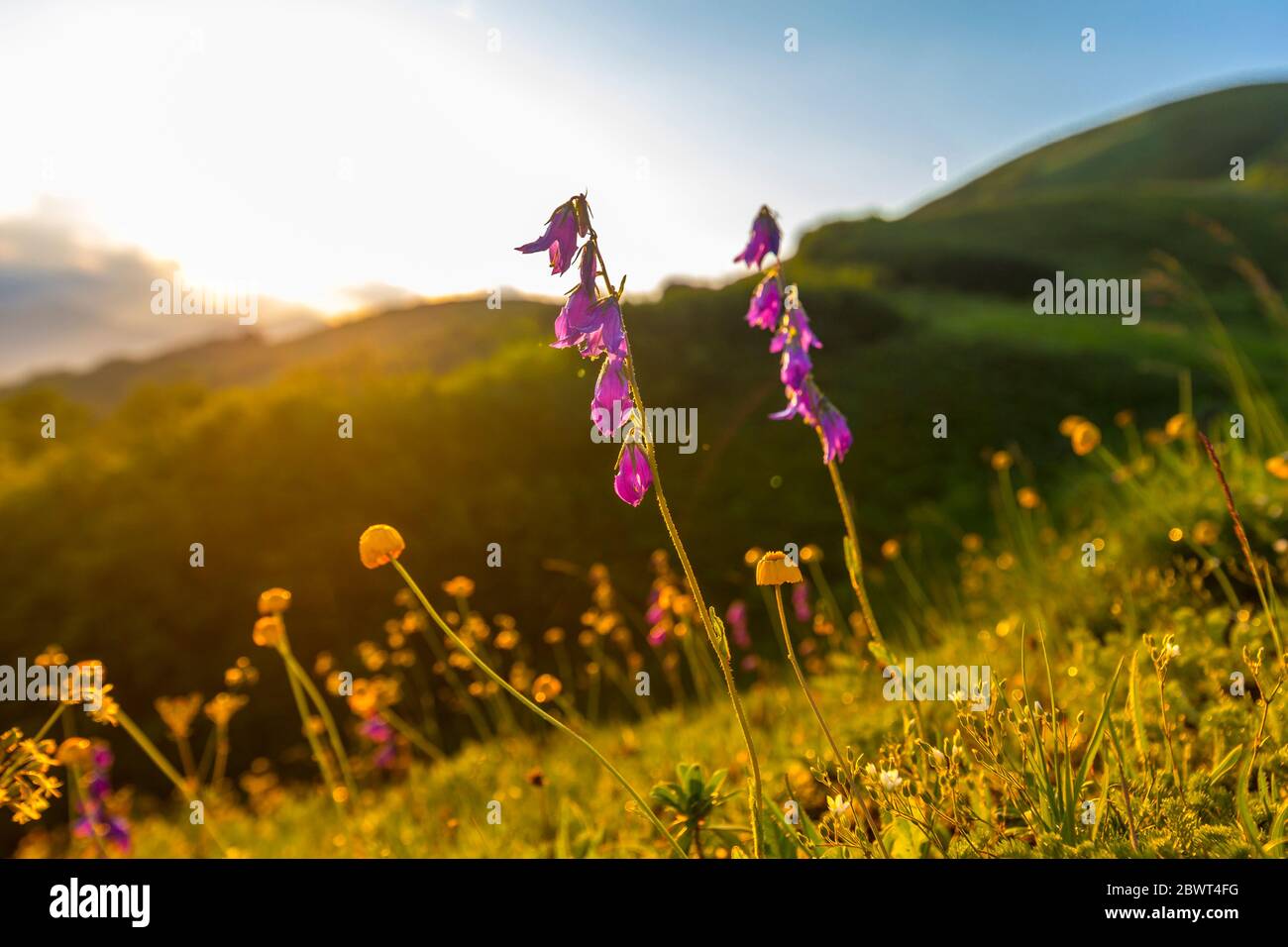 Beautiful mountain landscape at Caucasus mountains with grass and ...