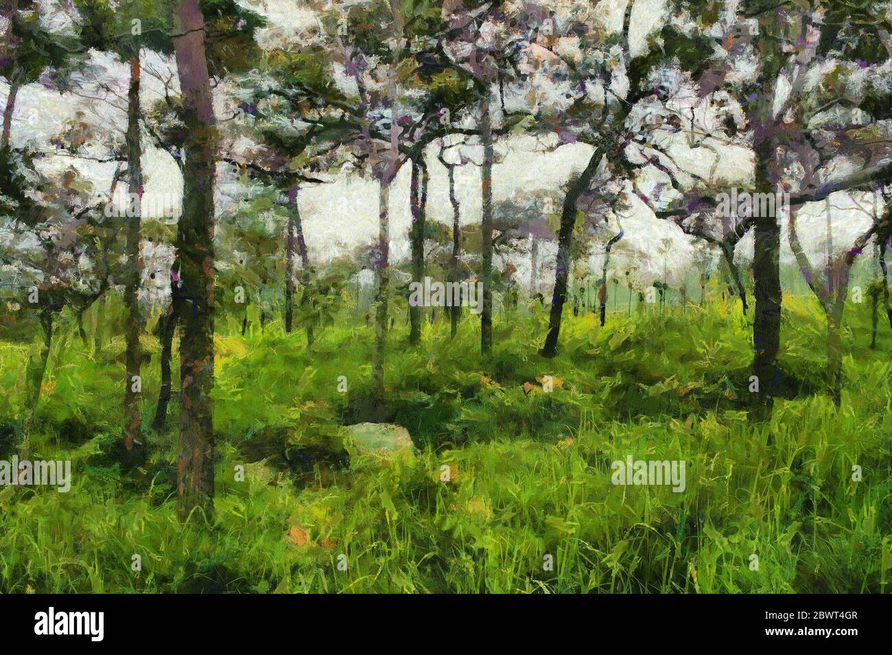 Forest landscape Illustrations creates an impressionist style of ...