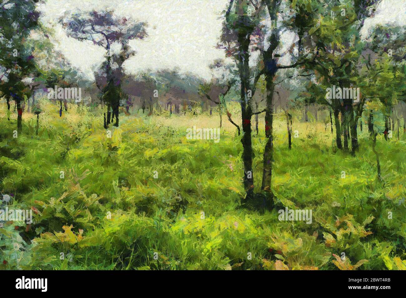 Forest landscape Illustrations creates an impressionist style of ...