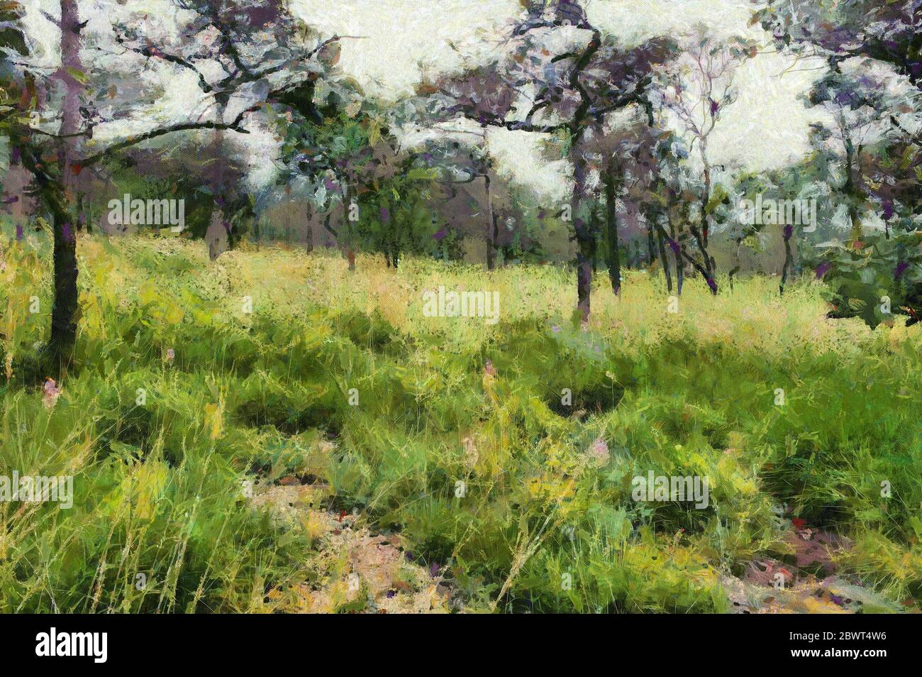Forest landscape Illustrations creates an impressionist style of ...