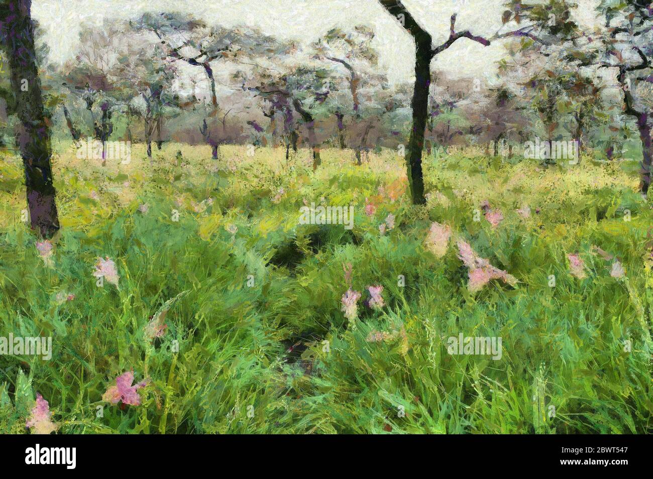 Forest landscape Illustrations creates an impressionist style of ...