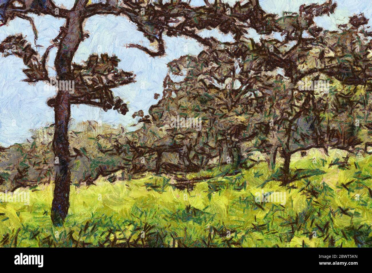 Mountain forest landscape Illustrations creates an impressionist style ...