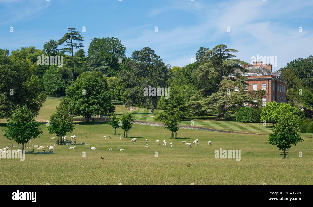 England, Berkshire, Culham Court, Henley, House & deer Park Stock Photo ...