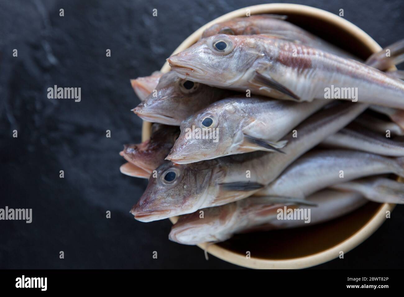 Grey gurnards hi-res stock photography and images - Alamy