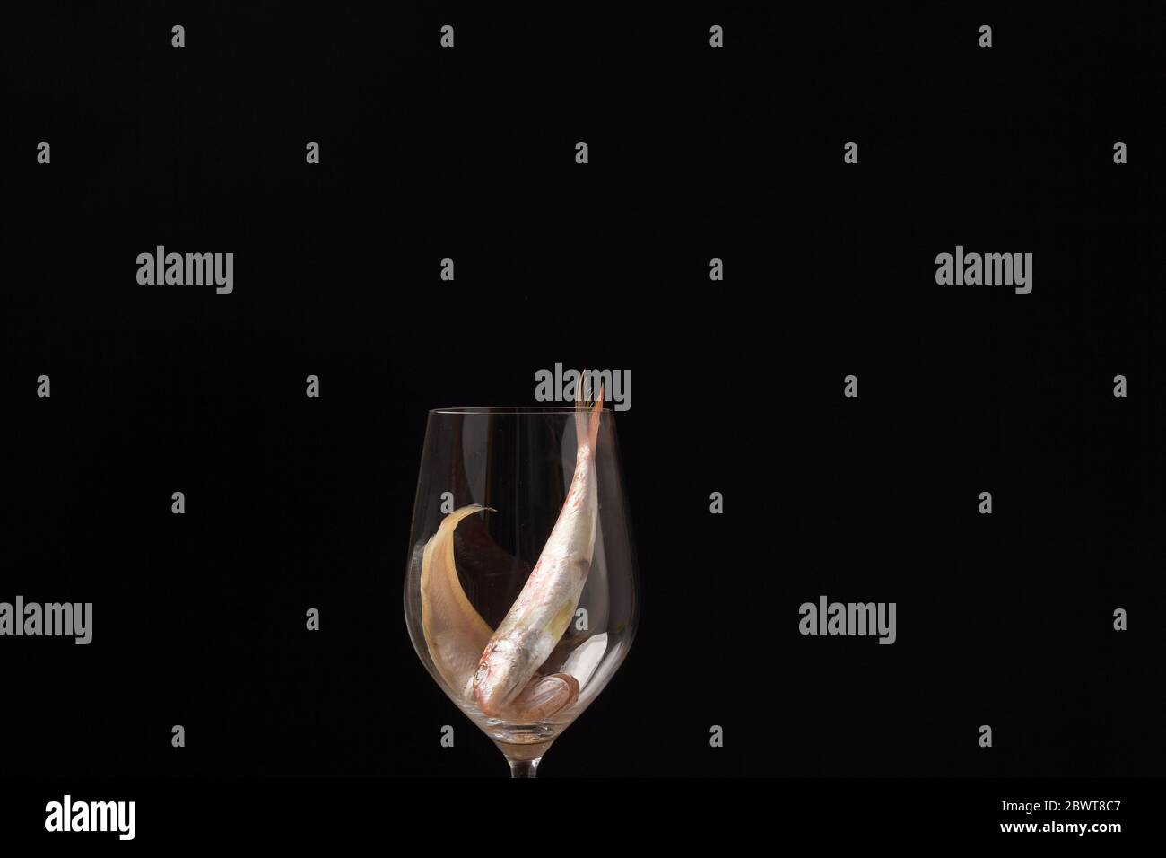 Fresh and healthy fish, freshly caught and extracted from the sea, from ...