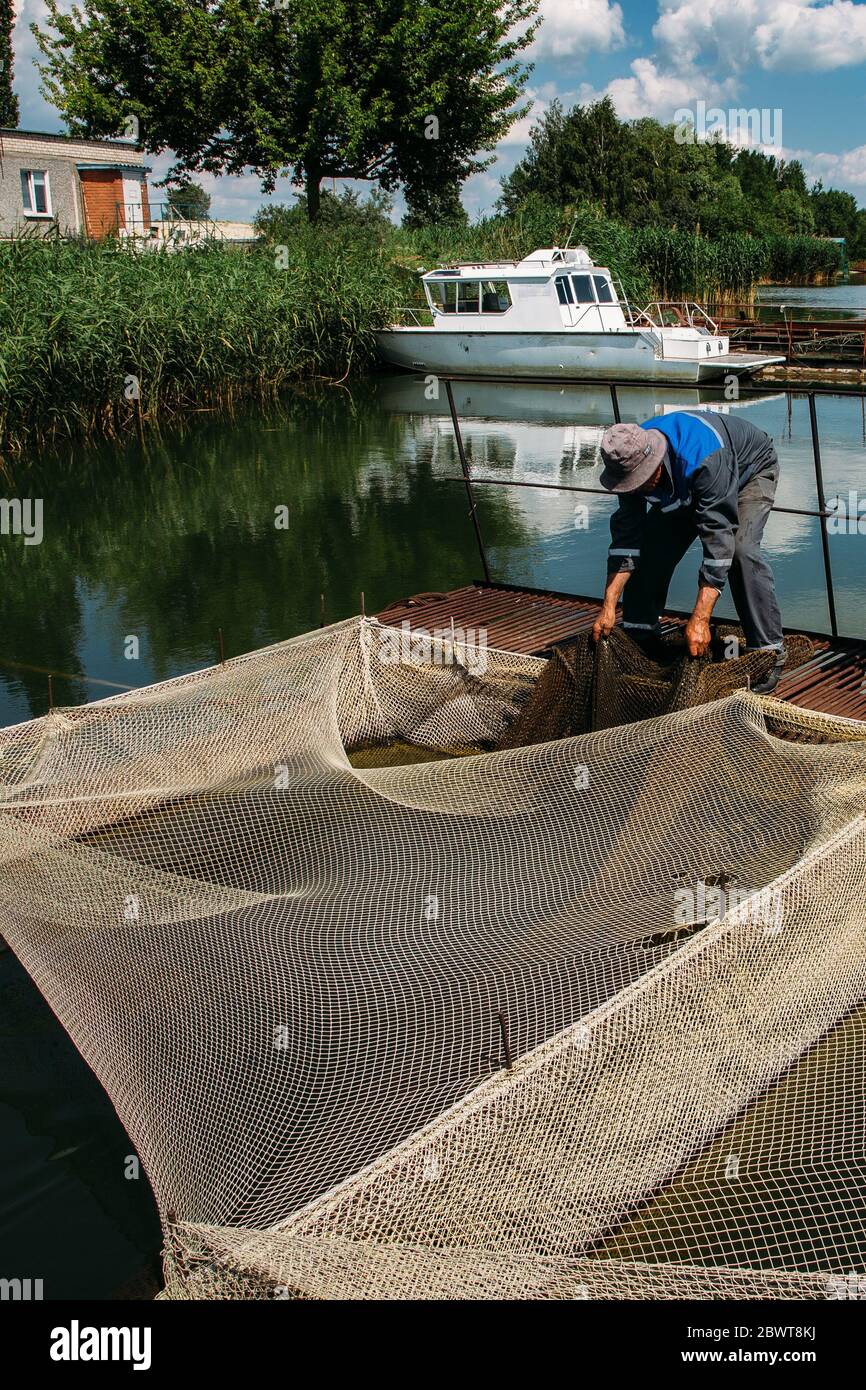 The farmer works at the fish farm Stock Photo - Alamy