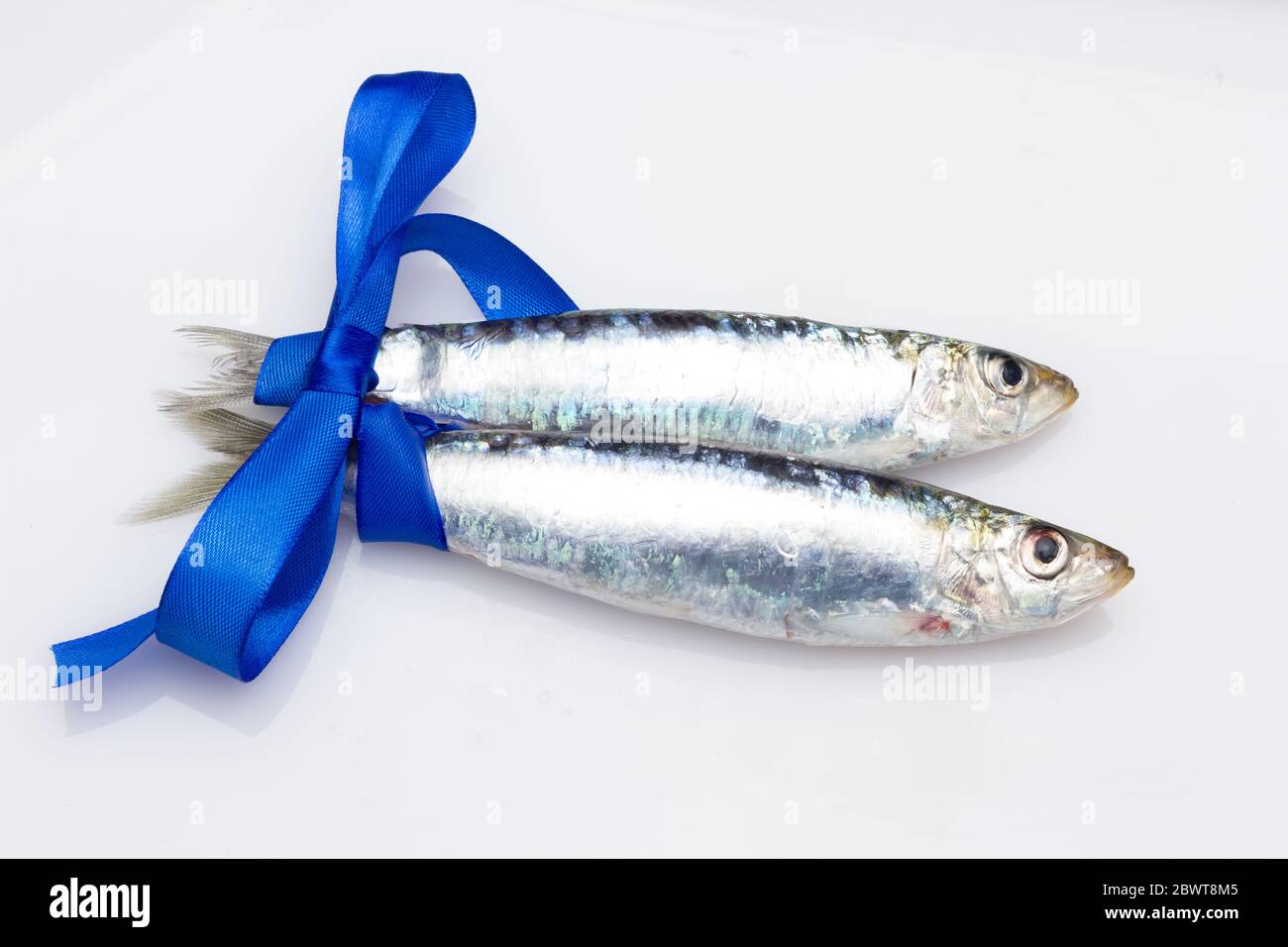 Sardine is a fish that is easily found in fishmongers, it is usually ...