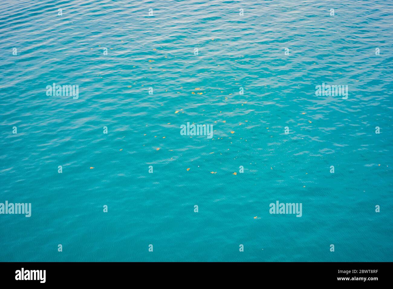 Turquoise water and orange algae top view Stock Photo - Alamy