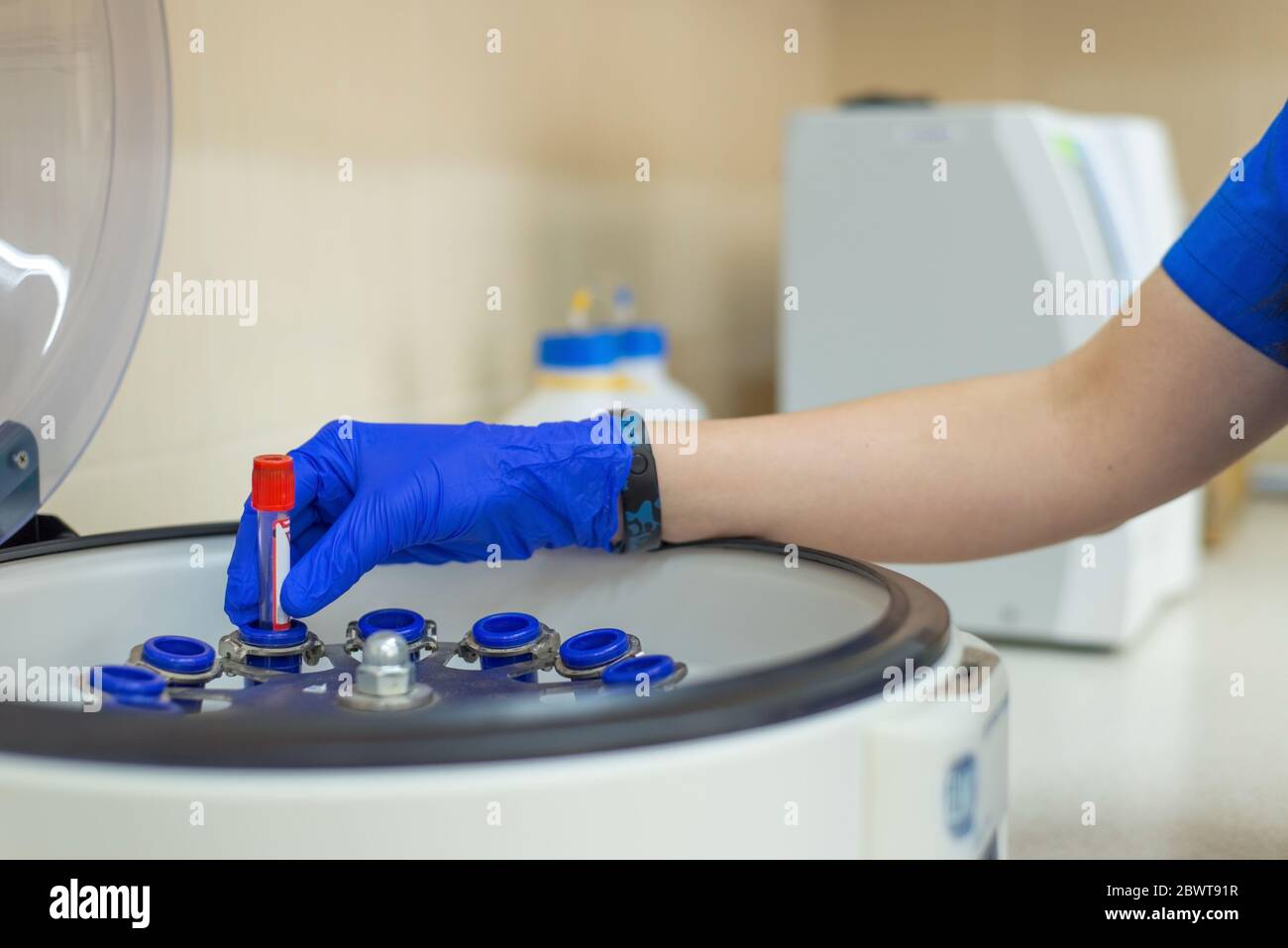 Scientist putting test tube into centrifuge gloved lab assistant puts a ...