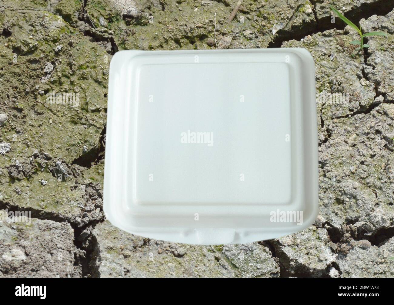 foam box for contain food on crack dirt ground Stock Photo - Alamy