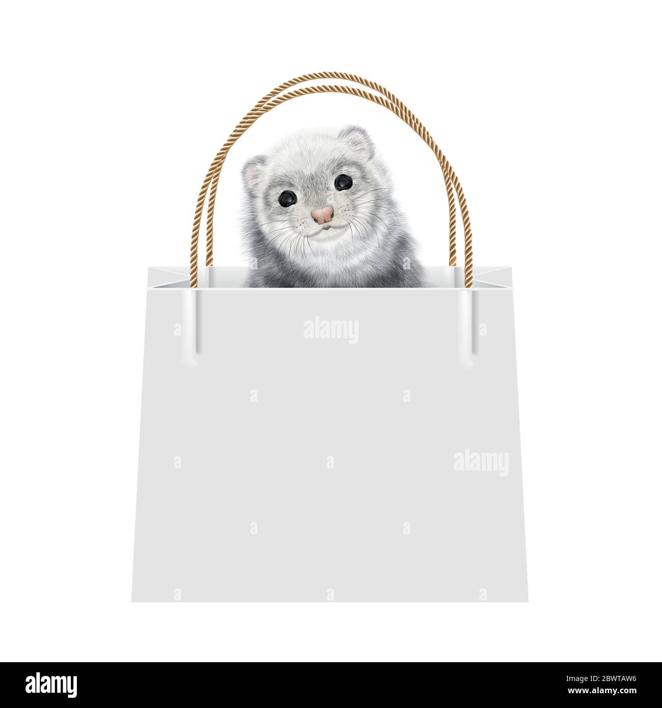 Ferret happy birthday hi-res stock photography and images - Alamy