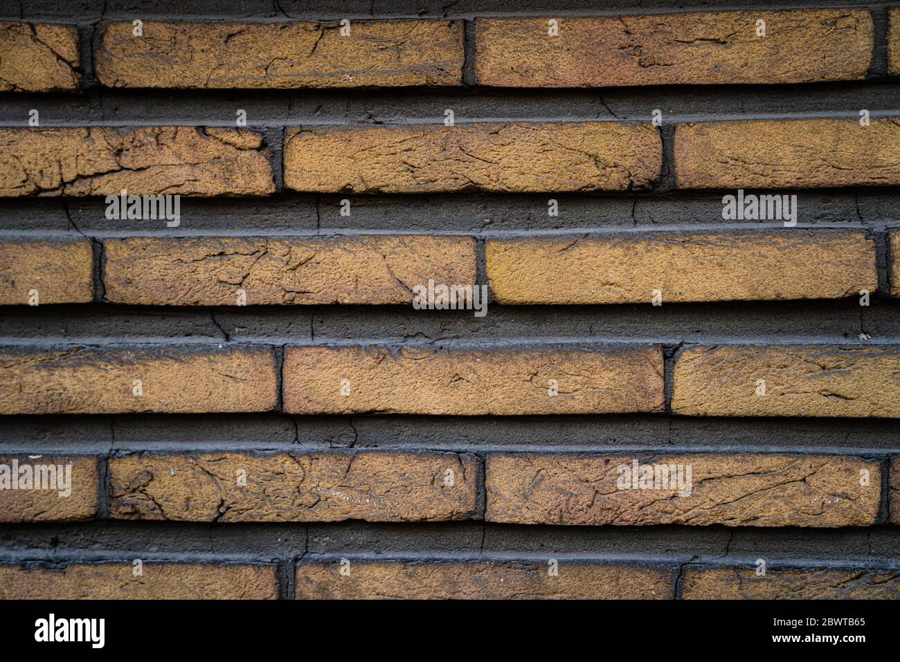 Details of Common Brick Walls of Brussels' Residential Area Stock Photo ...