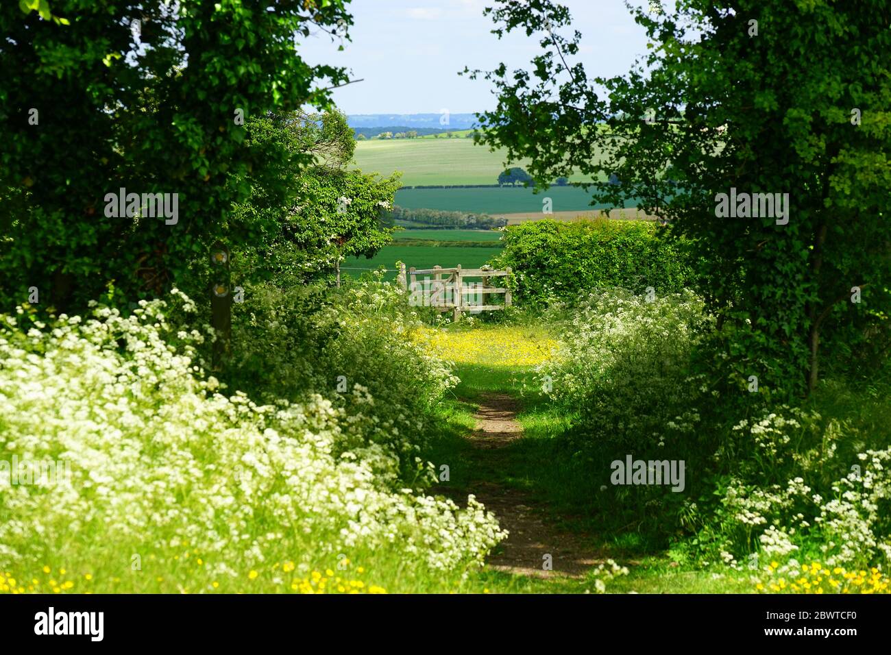 Gate in a meadow at Wallington Stock Photo - Alamy