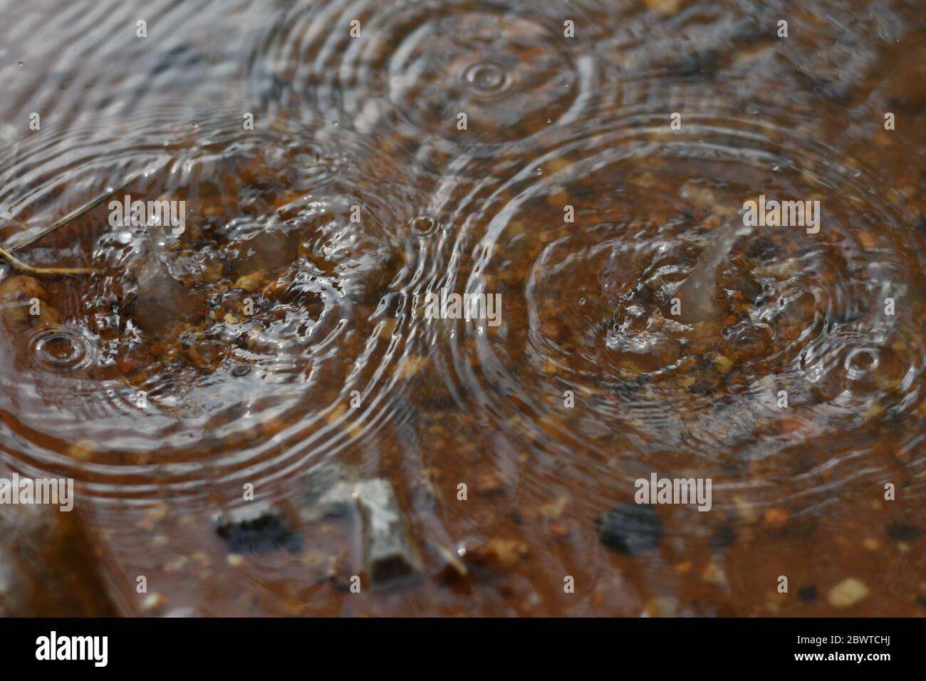 water splash isolated for background Stock Photo - Alamy