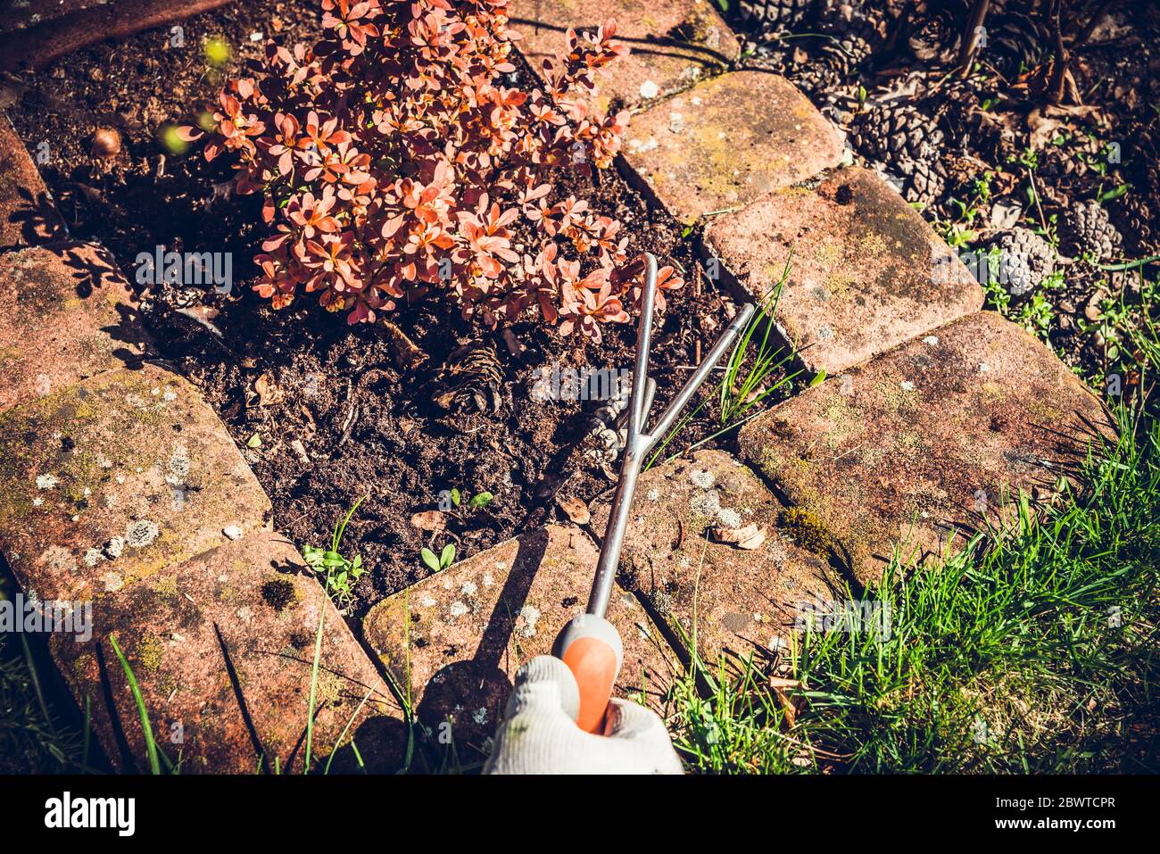 Soil raking. The concept of caring for the garden, the beauty of the ...