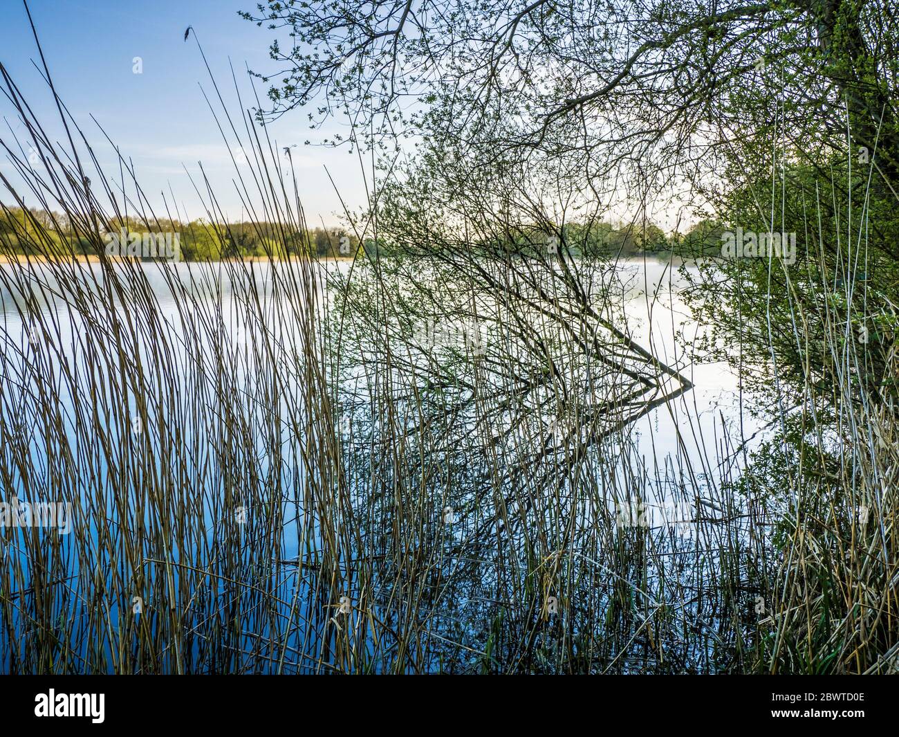 British spring water hi-res stock photography and images - Alamy