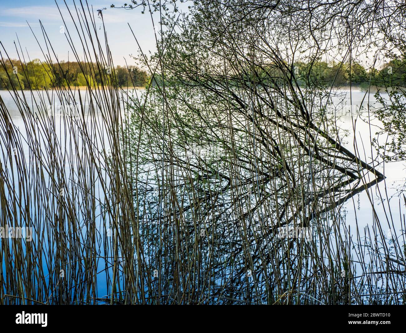 Sunny waterside hi-res stock photography and images - Alamy