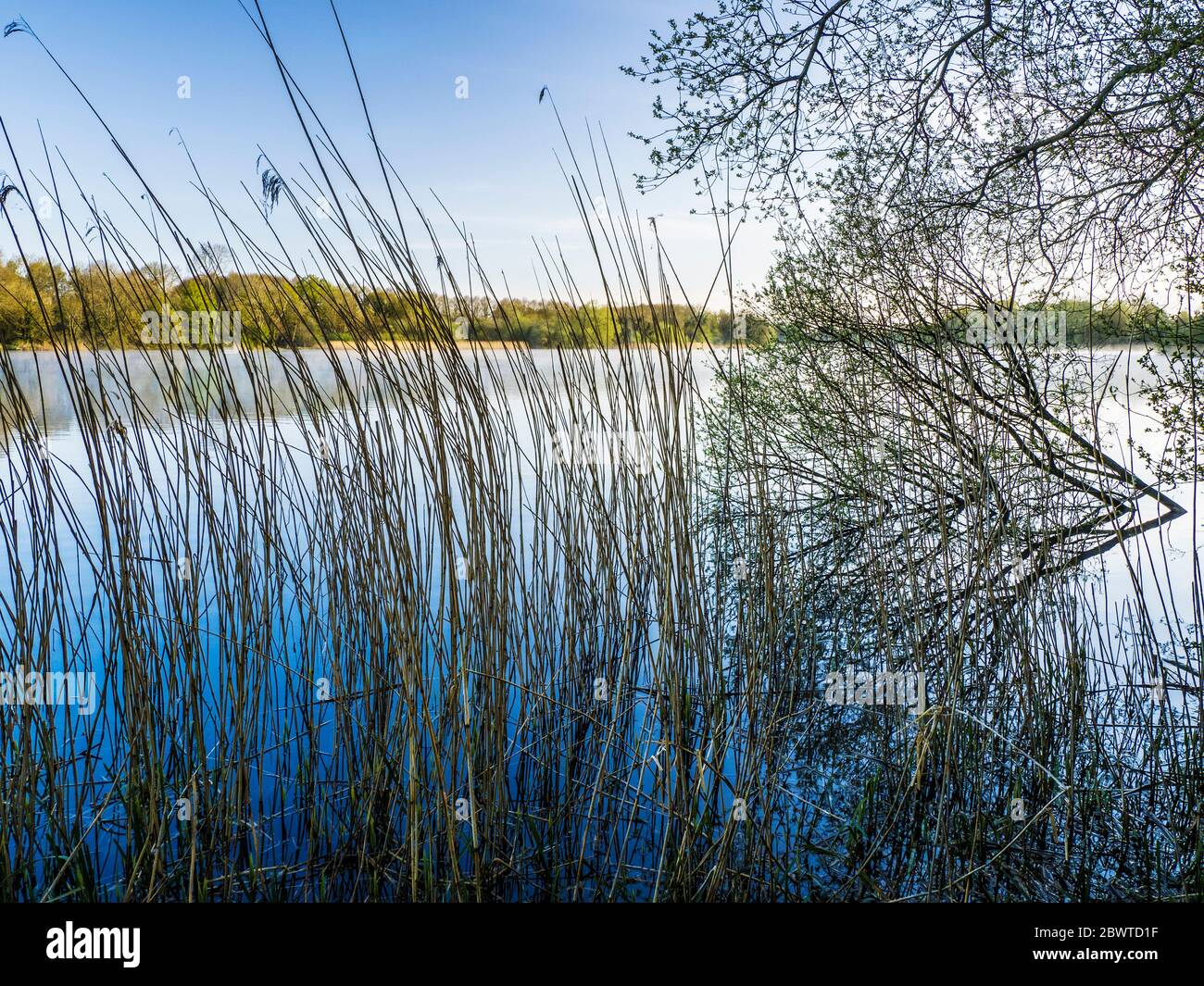 Manmade in nature hi-res stock photography and images - Alamy