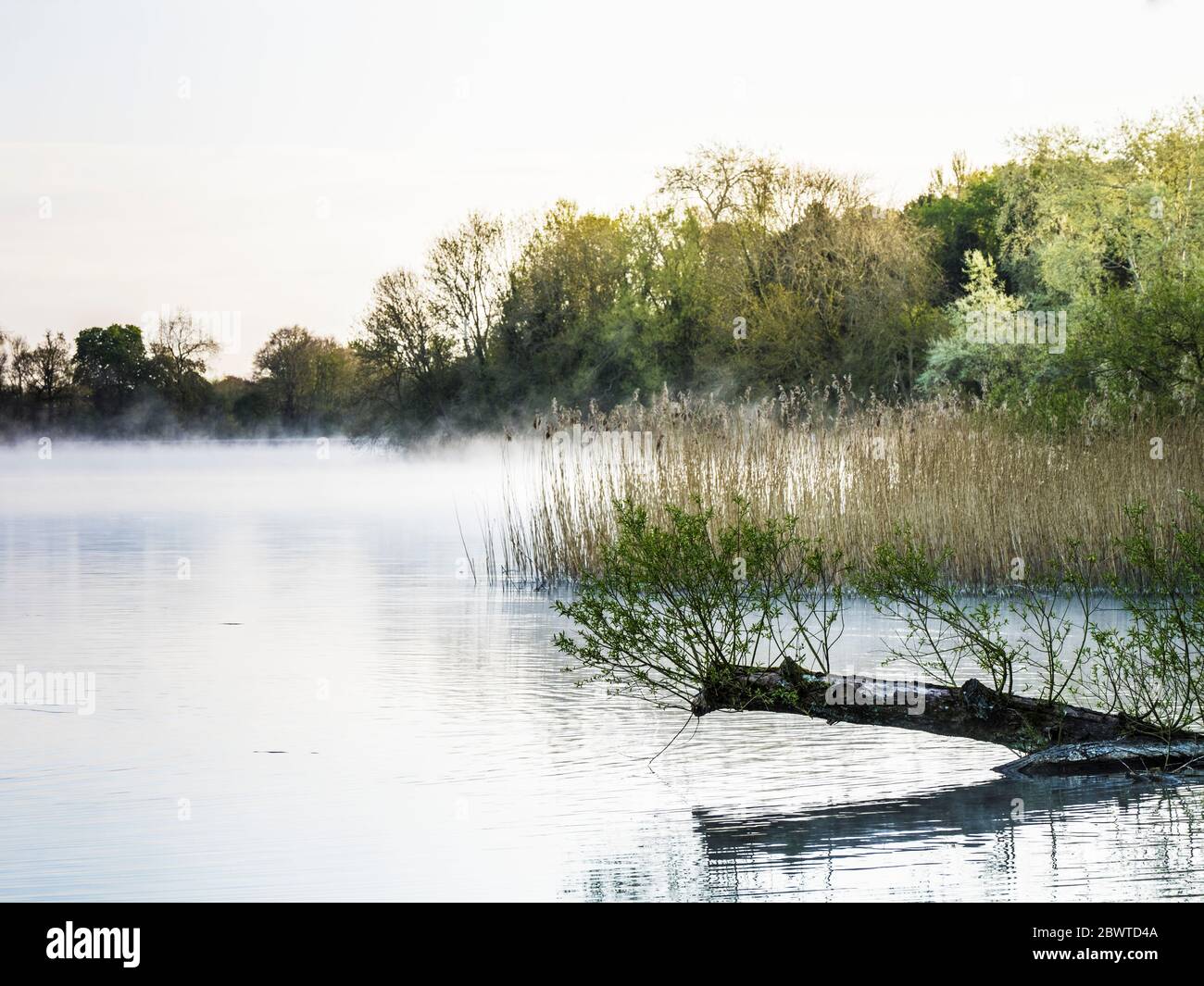 Spring waters hi-res stock photography and images - Alamy