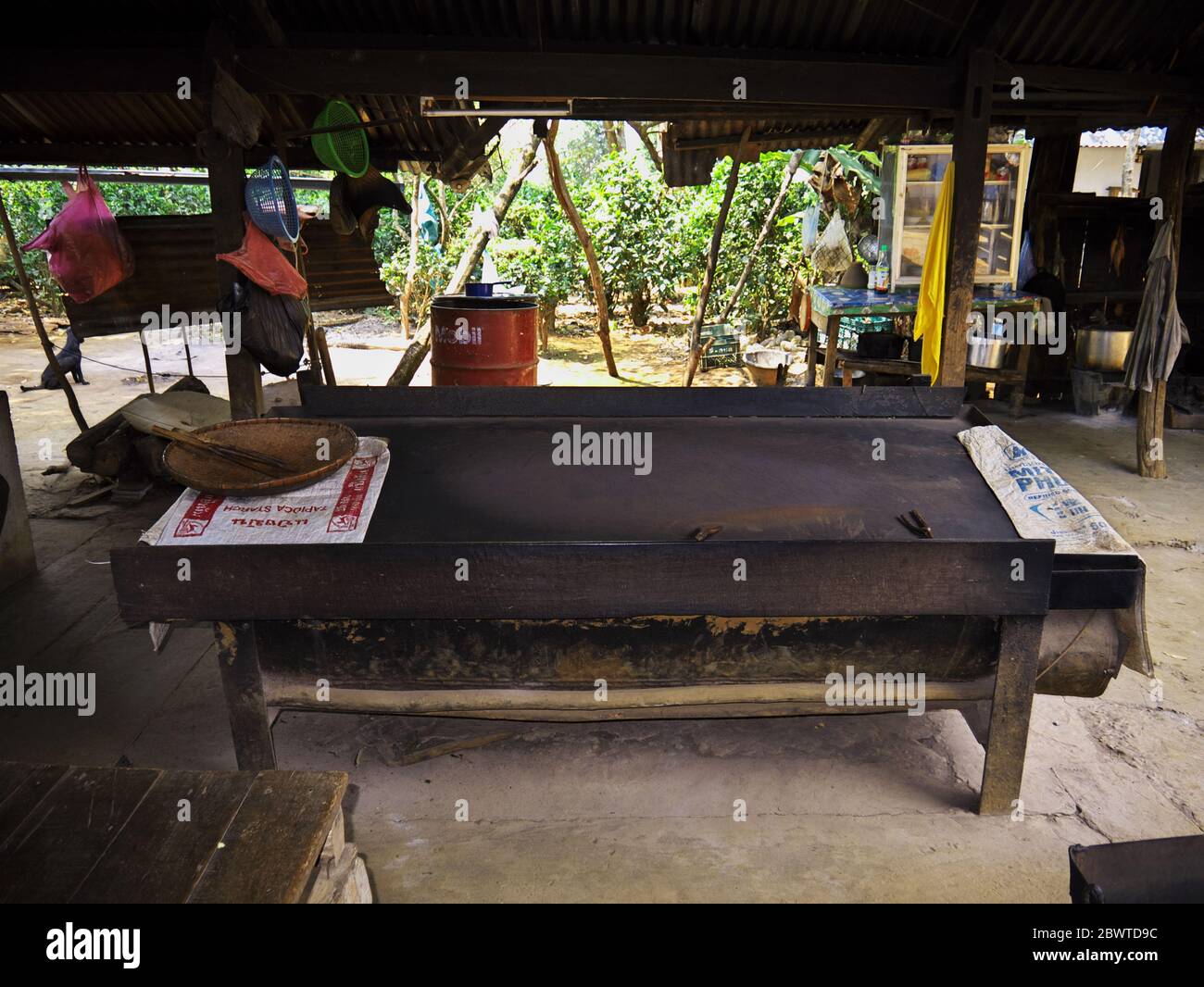 The tea plantation in Laos Stock Photo - Alamy
