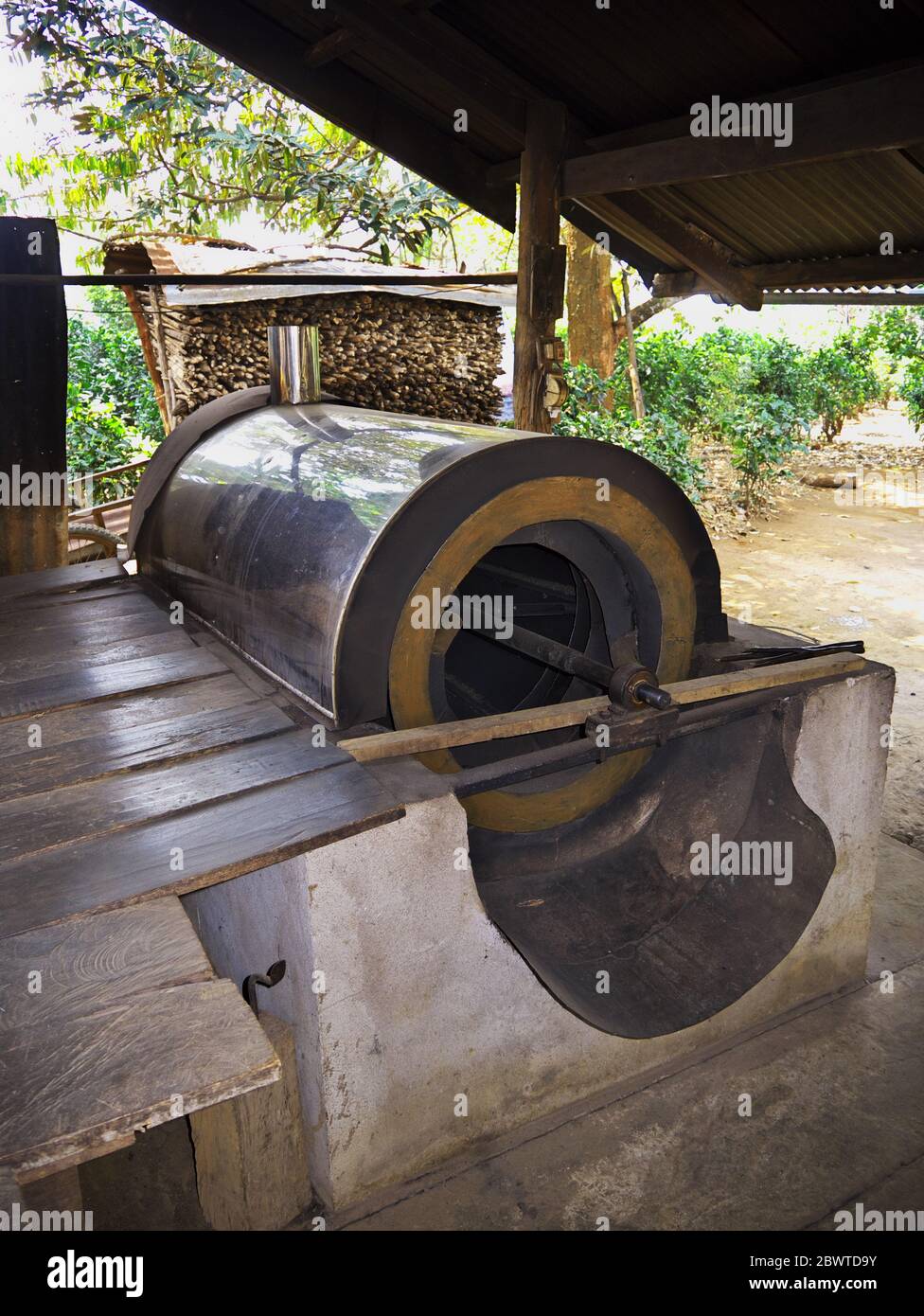 The tea plantation in Laos Stock Photo - Alamy