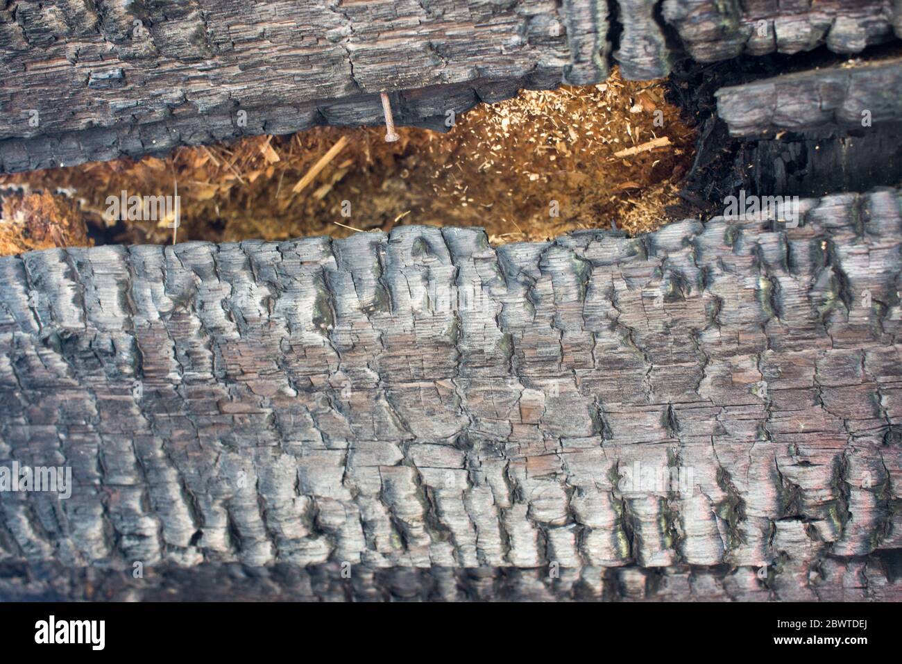 Natural fire ashes with dark grey black coals texture. It is a ...