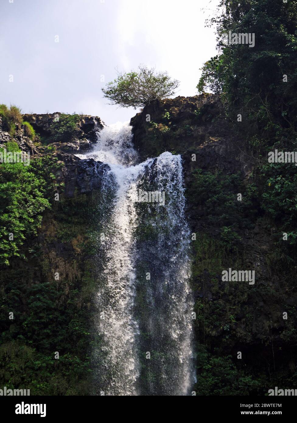 The waterfall in Jungle, Laos Stock Photo - Alamy
