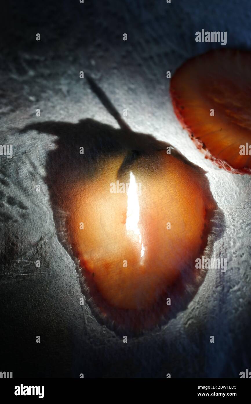 Strawberry slice under wet kitchen roll sheet Stock Photo - Alamy